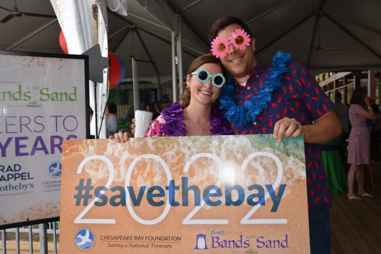 Foxglove Solar in Frederick County, Virginia